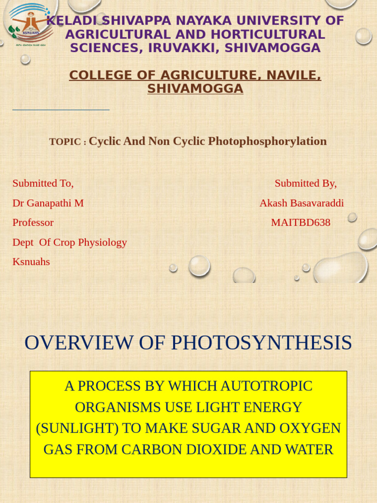 Cyclic and Non Cyclic Phosphorylation | PDF | Photosynthesis ...