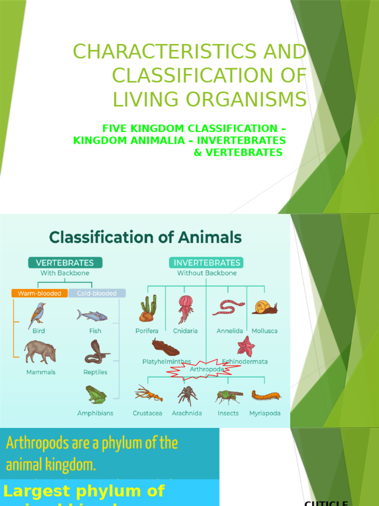 Classification of Animalia: Arthropods | PDF