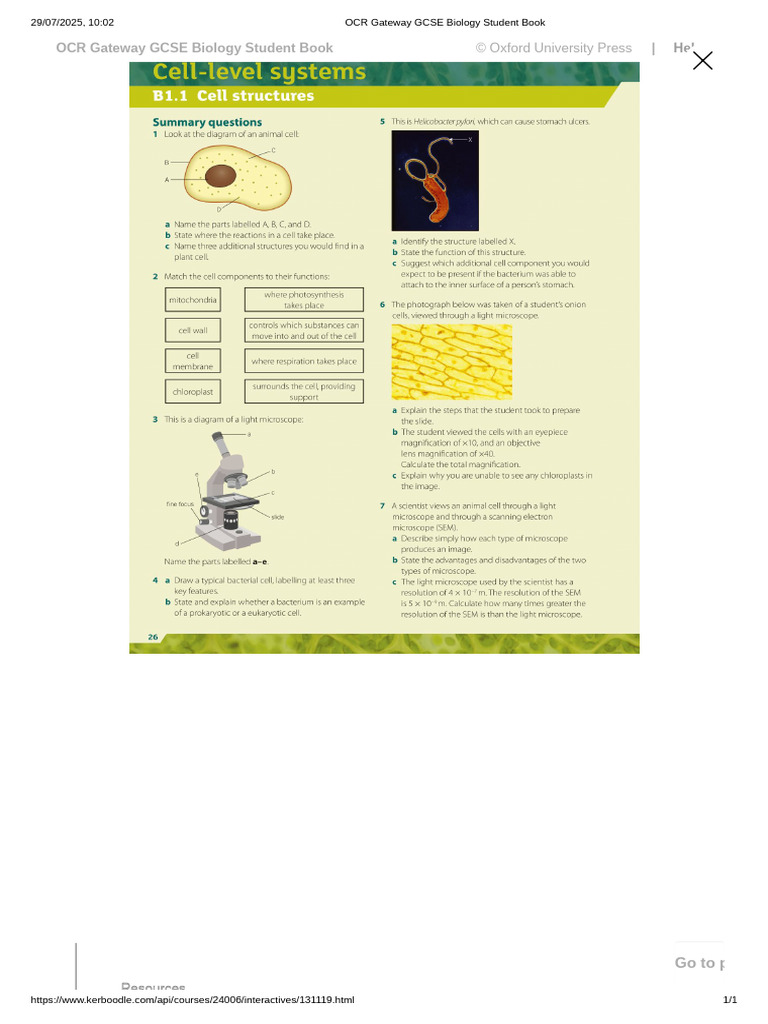 OCR Gateway GCSE Biology Student Book | PDF