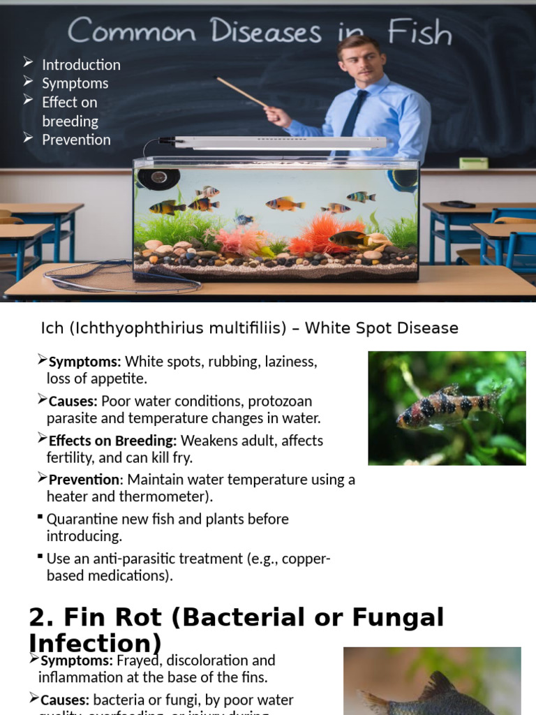 Common Fish Breeding Diseases Guide | PDF | Microbiology | Organisms