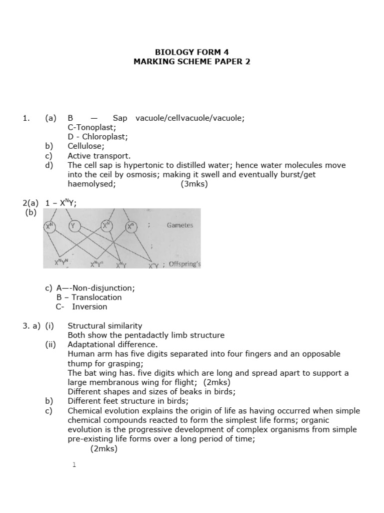 Biology Form 4 Marking Scheme 2024 | PDF | Heart | Ventricle (Heart)