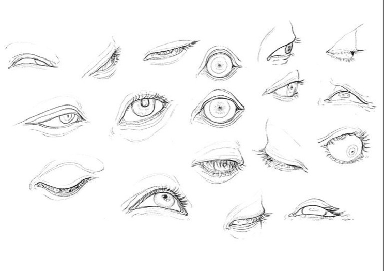 Eyes Reference Drawing | PDF