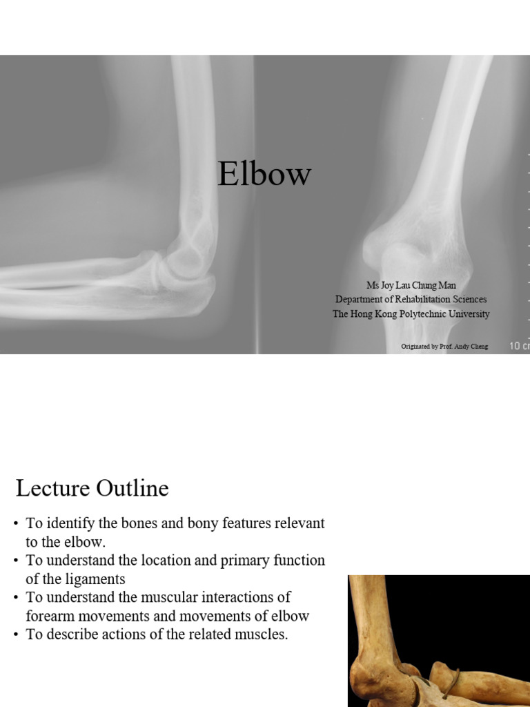Lecture 6 Elbow - Blackboard | PDF | Elbow | Arm