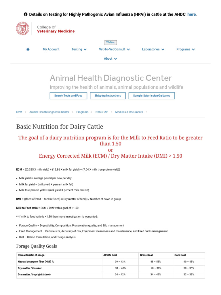 Basic Nutrition For Dairy Cattle - Cornell University College of ...