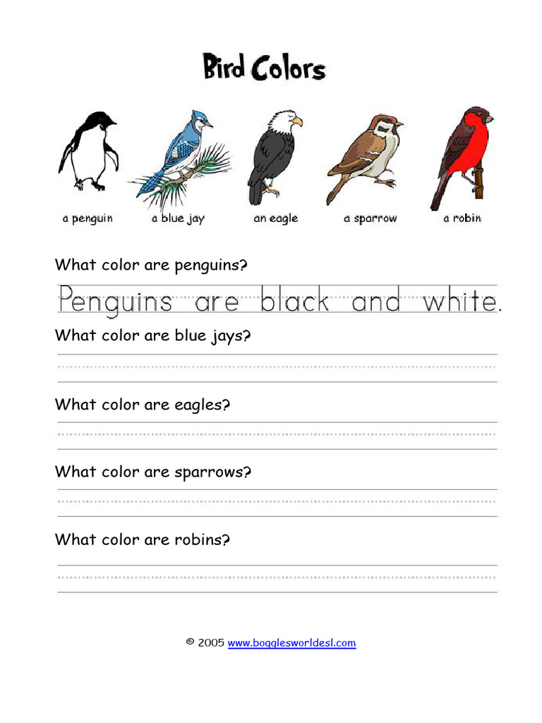Bird Color Identification Guide | PDF