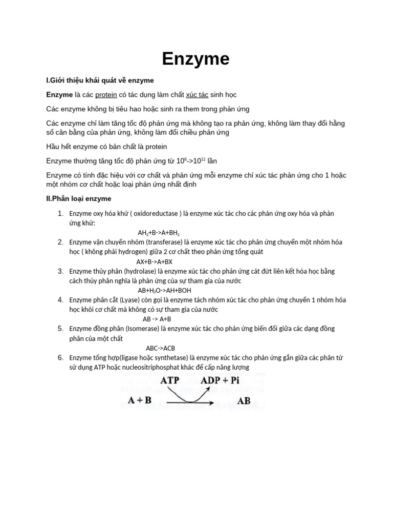 Enzyme e | PDF