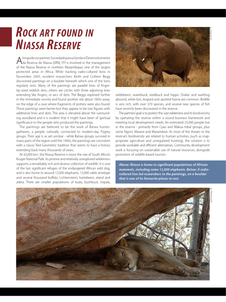 2005-First Rock Art Found in NNR - Batwa Geometric Rock Art | PDF ...