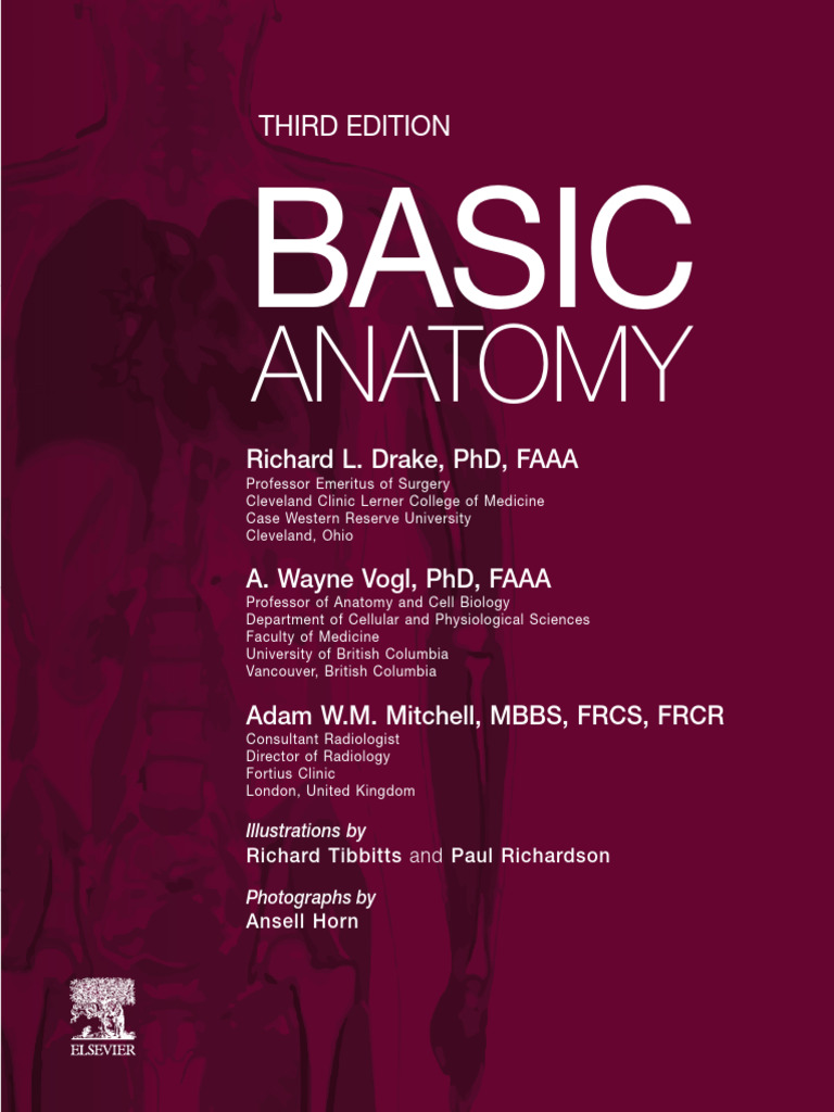 Gray's Basic Anatomy (3rd Edition) 2023 | PDF | Thorax | Human Leg