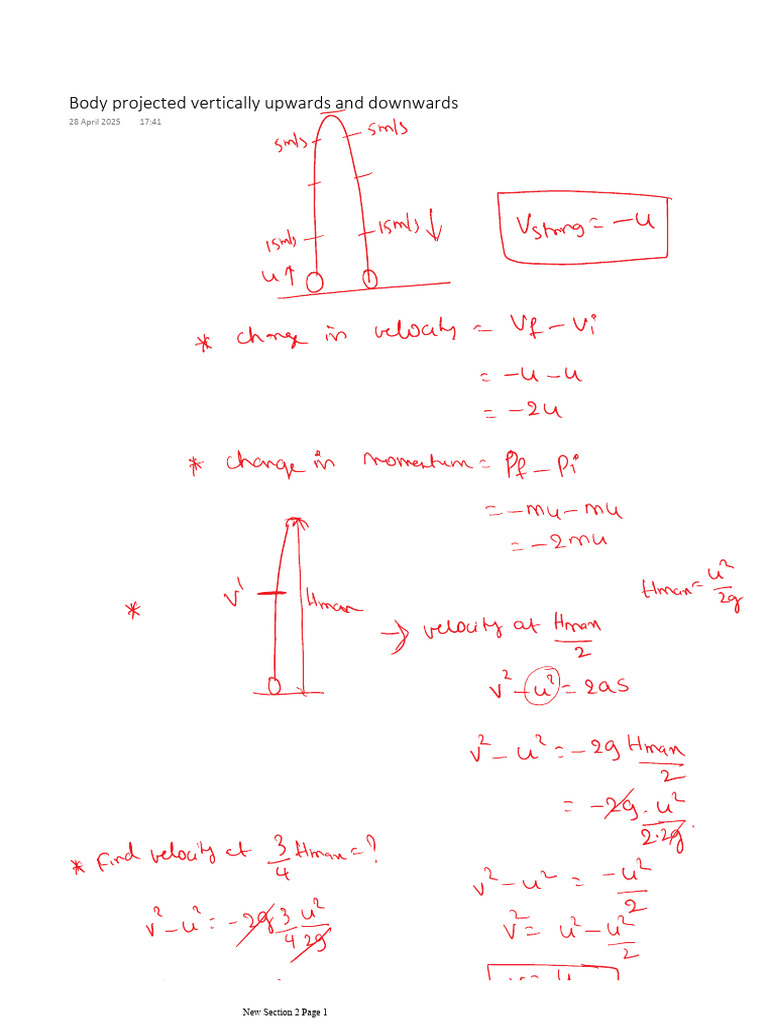 Vertical Body Projection Analysis | PDF