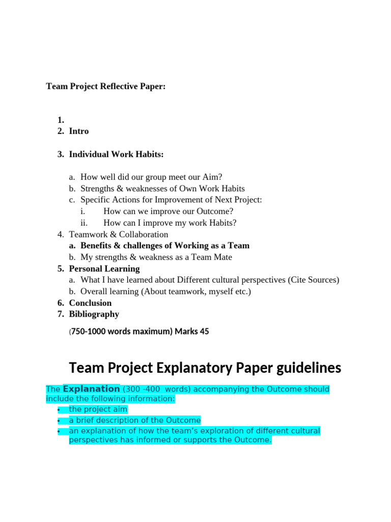 Team Project Reflection and Insights | PDF