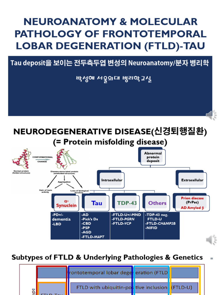 Anatomy and Molecular Pathology of Primary Tauopathy Including PSP CBD ...