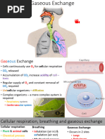Gaseous Exchange Grade11 Notes | PDF