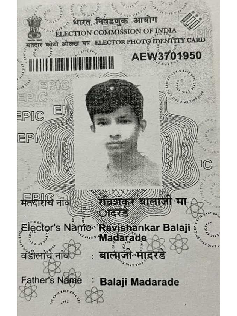 Voter ID | PDF