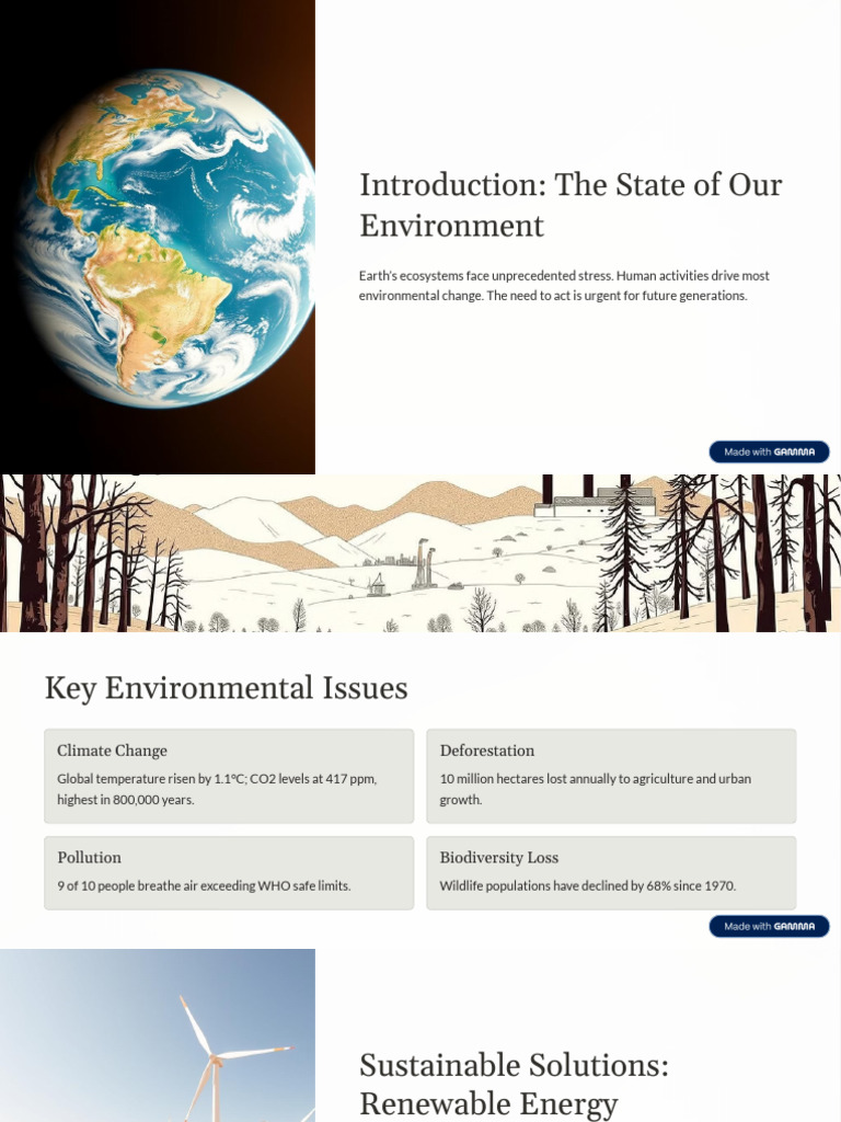 Environmental Initiative Overview | PDF | Renewable Energy | Climate Change