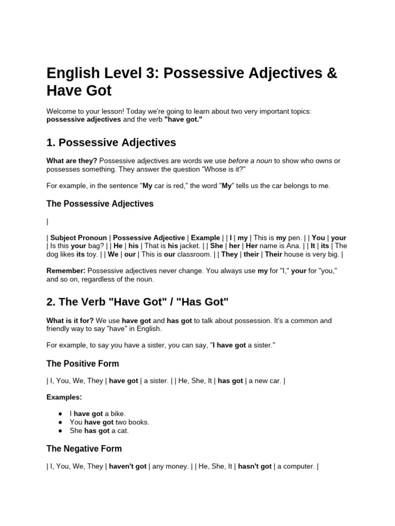 English Level 3 - Possessive Adjectives & Have Got | PDF | Adjective ...