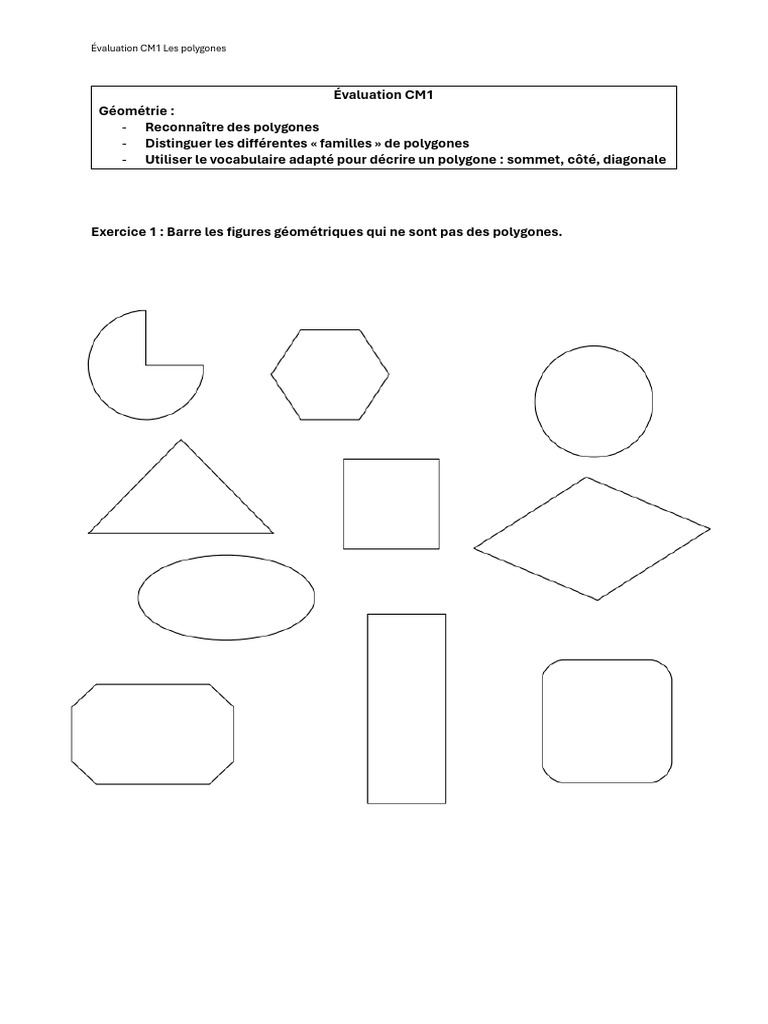 Évaluation CM1 sur les polygones | PDF