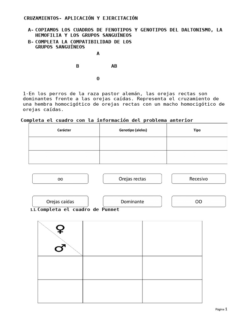 Cruzamientos Genéticos y Fenotipos | PDF