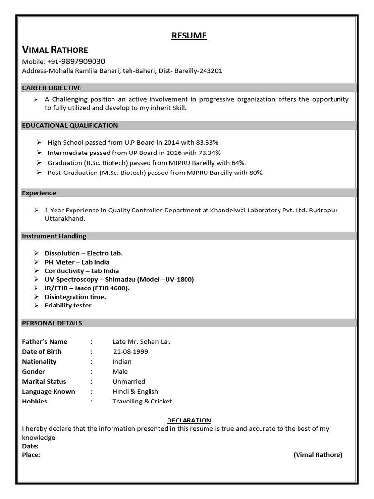 Vimal Rathore Resume - 2025 1 | PDF