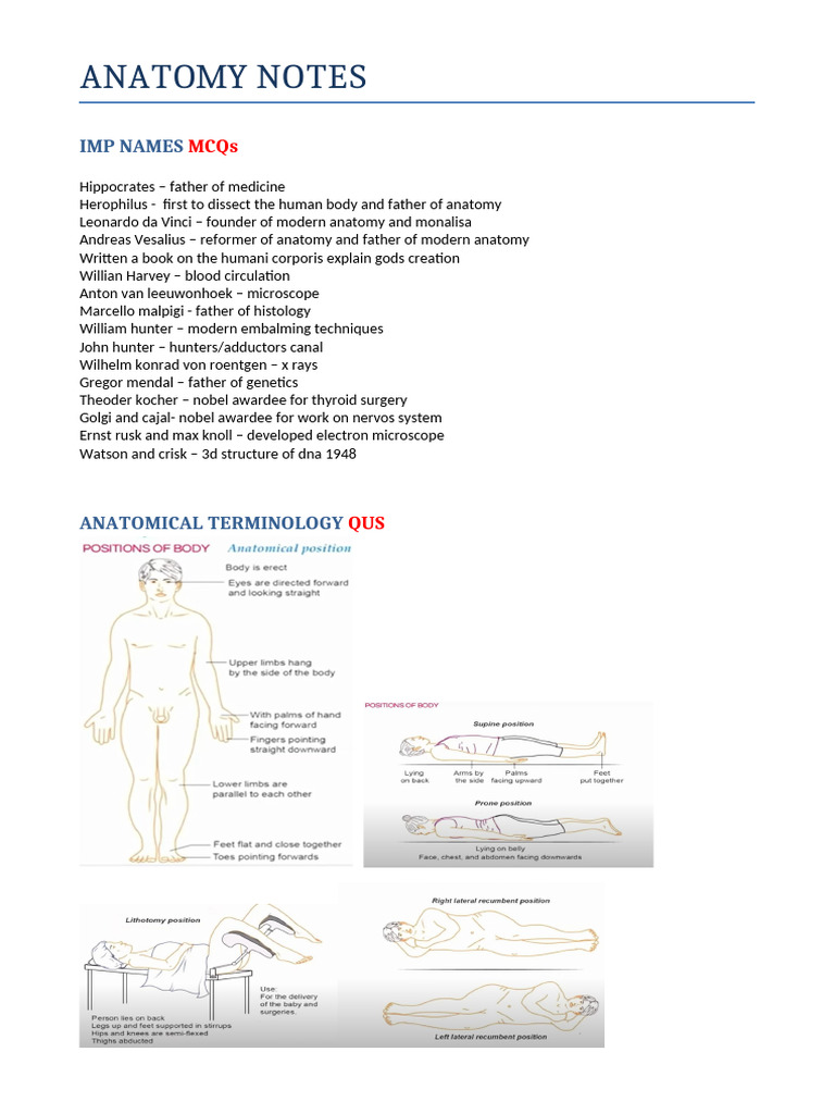 Key Figures in Anatomy and Terminology | PDF