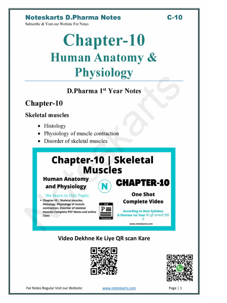 Skeleton System | PDF