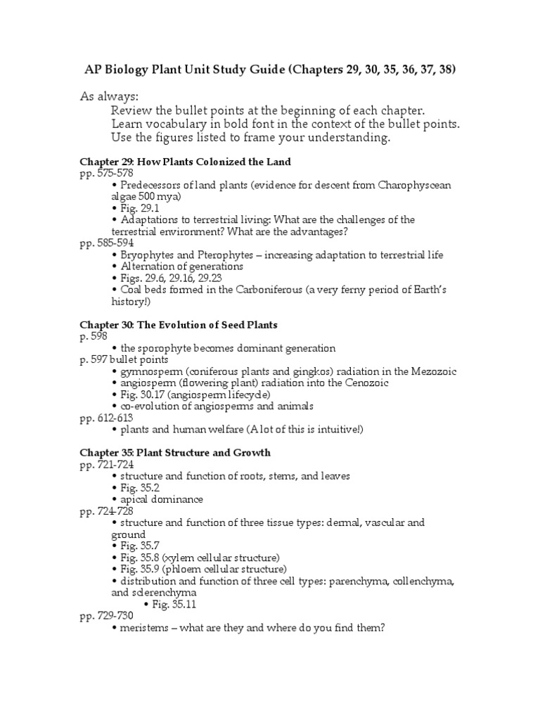 Plant Unit Study Guide II | PDF | Plants | Root