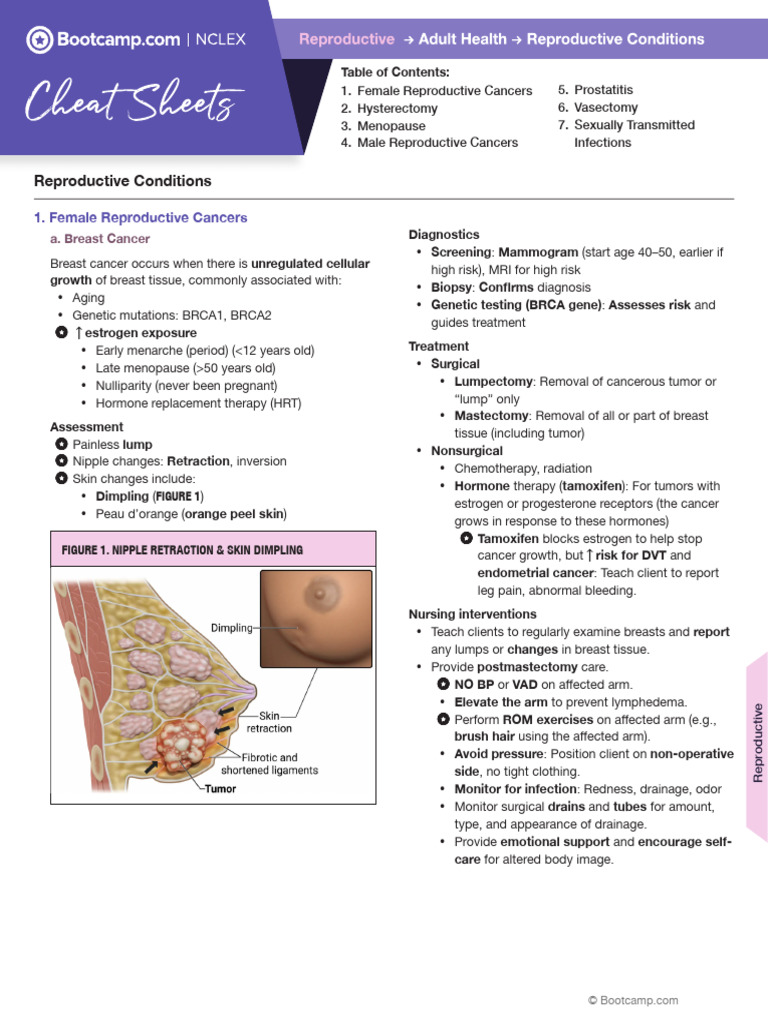 Reproductive Conditions Cheat Sheet | PDF | Sexually Transmitted ...