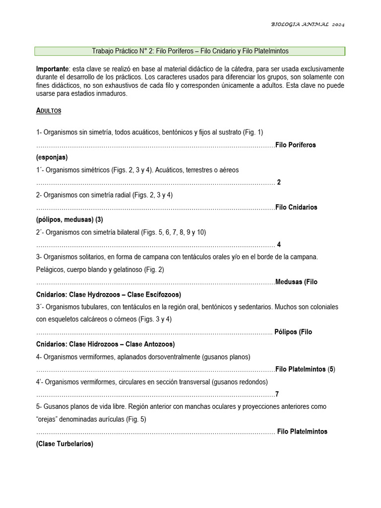 Clave TP 2 | PDF | Protostomas