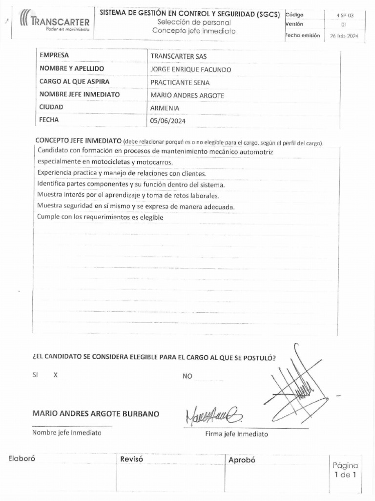 Concepto Jefe Inmediato - Jorge Eduardo Facundo | PDF