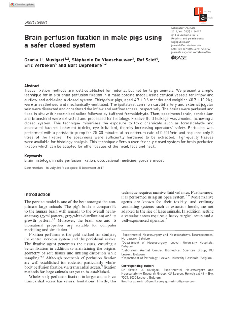 Closed System Brain Perfusion in Pigs | PDF | Fixation (Histology ...