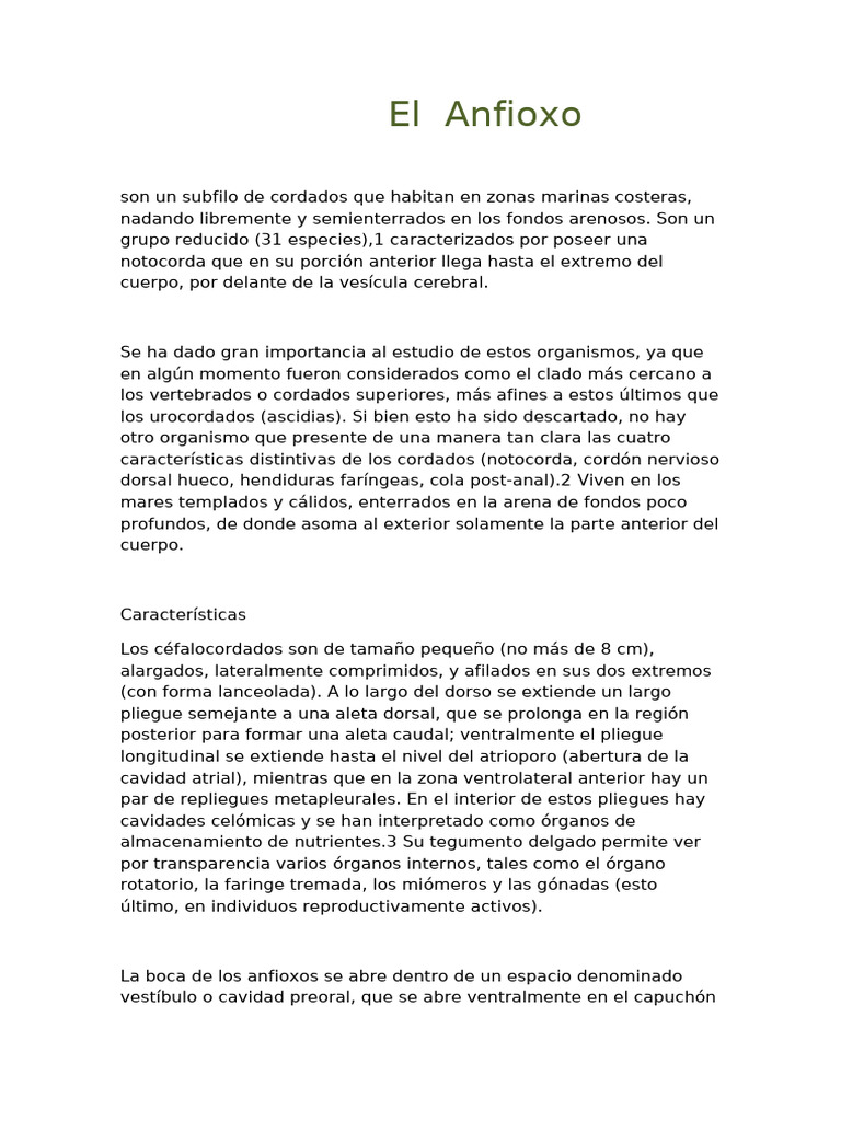 Características del Anfioxo | PDF | Anatomía | Cordados