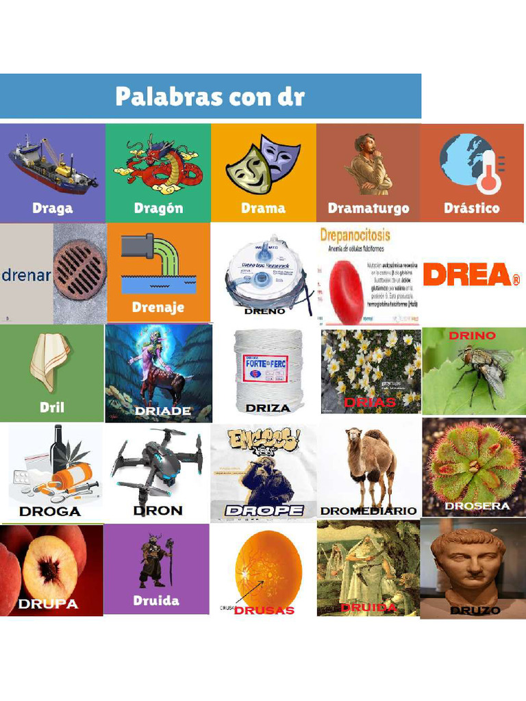 Palabras Con DR | PDF