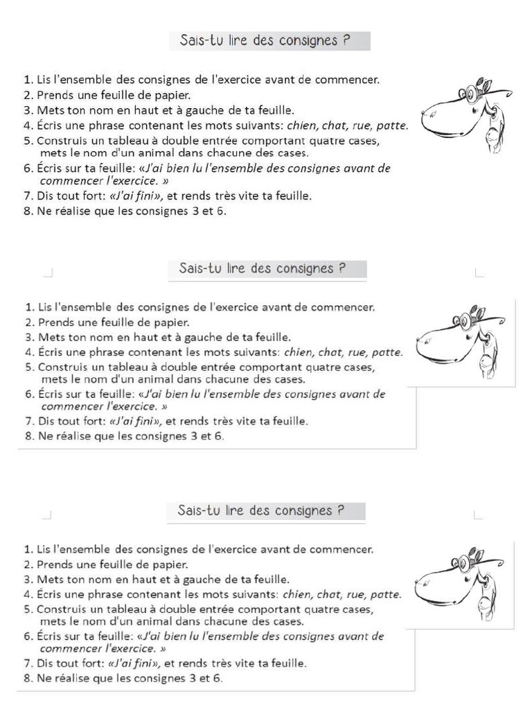 Lecture de Consignes | PDF