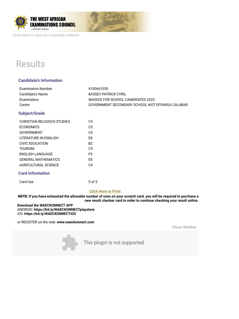 Waec Result 2025 Patrick | PDF