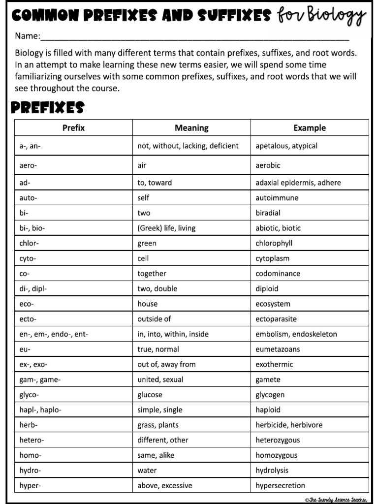 Student Prefix WKST | PDF