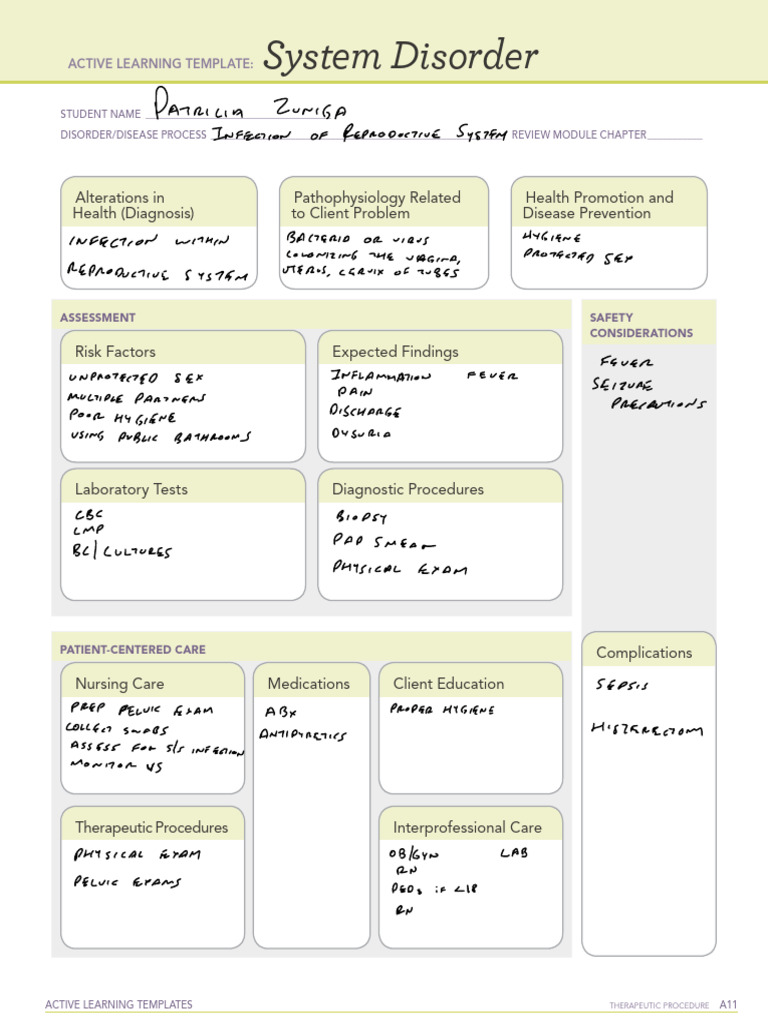 OB Practice A Templates | PDF | Infection | Nursing