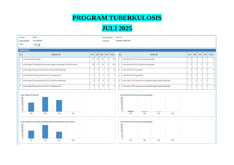 Program Tuberkulosis | PDF