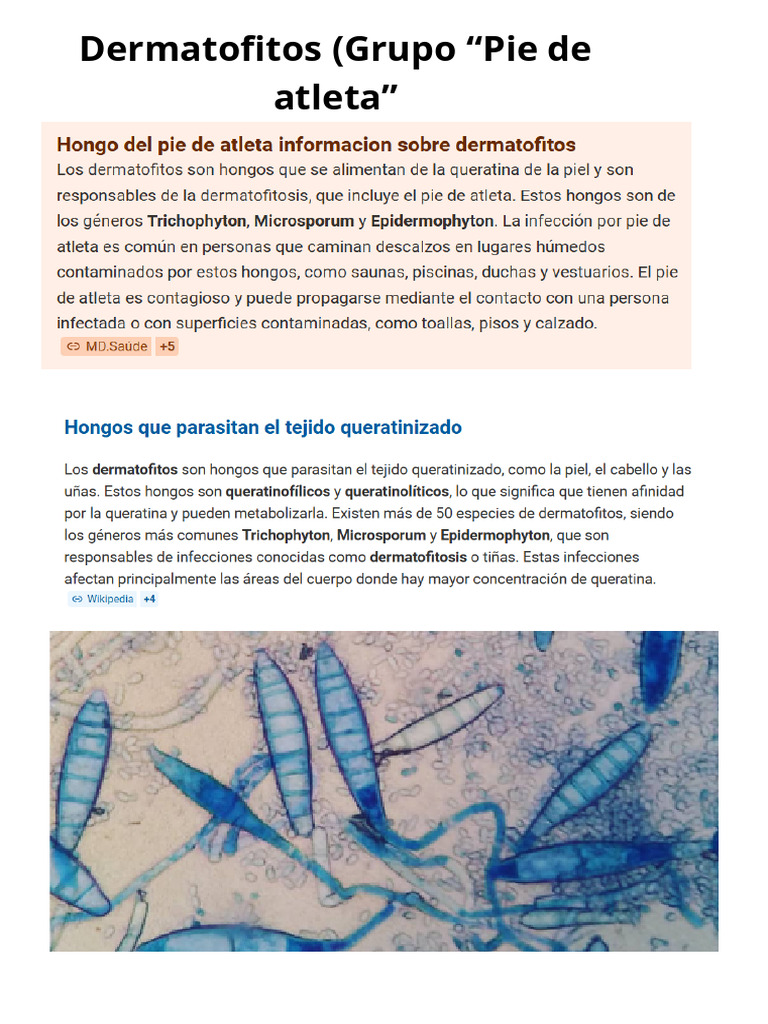 Dermatofitos (Grupo "Pie de Atleta" | PDF