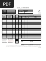 Miss Punch Format | PDF