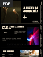 Origami Pro 6 - Wild Amazonia Origami | PDF