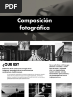 Origami Pro 6 - Wild Amazonia Origami | PDF