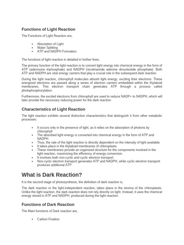 Functions of Light and Dark Reactions | PDF | Photochemistry | Biology