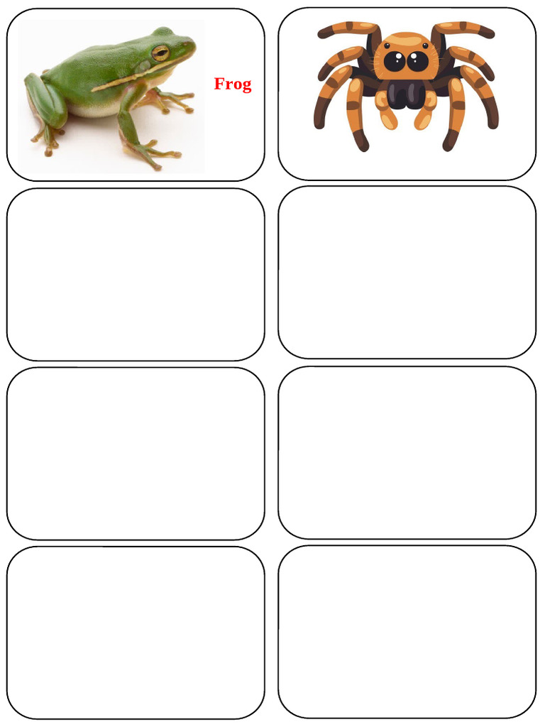 Flashcard 3 | PDF