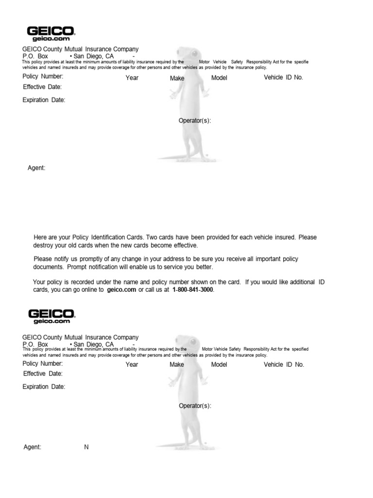 Florida Liability Insurance Card Details | PDF | Insurance | Financial Risk