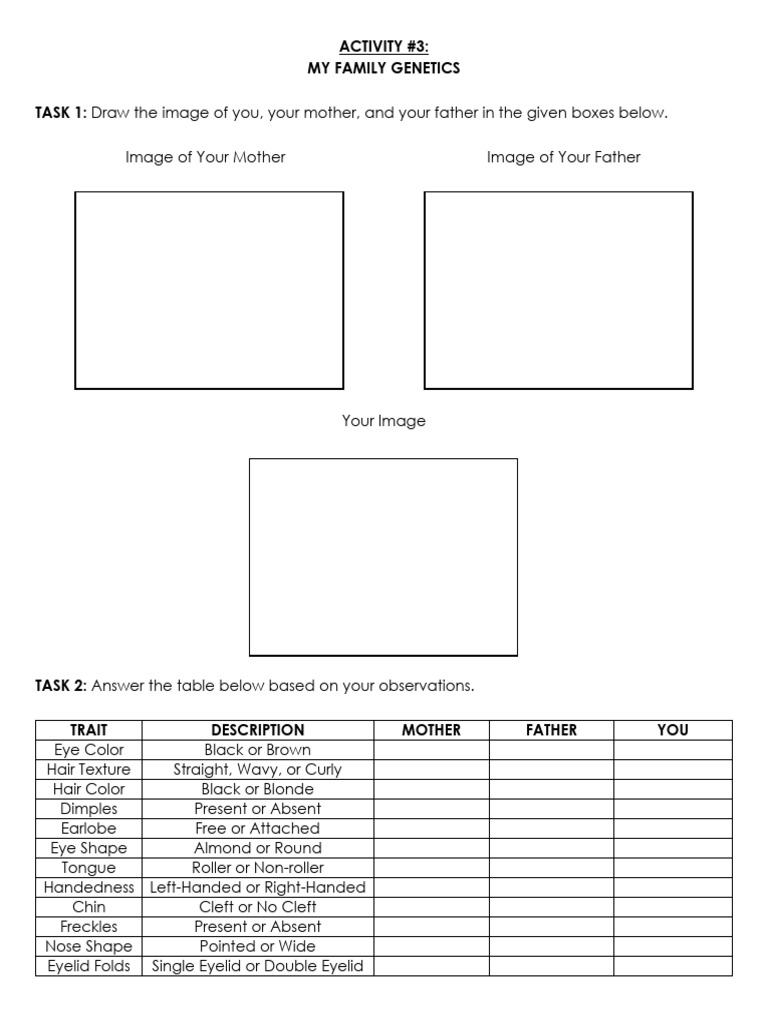 Activity 3 My Family Genetics | PDF