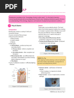 INBDE High-Yield Oral Surgery | PDF | Dental Implant | Dentistry Branches