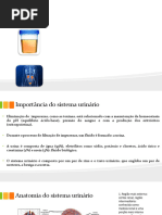 Atlas de Urinálise: Análise Completa | PDF