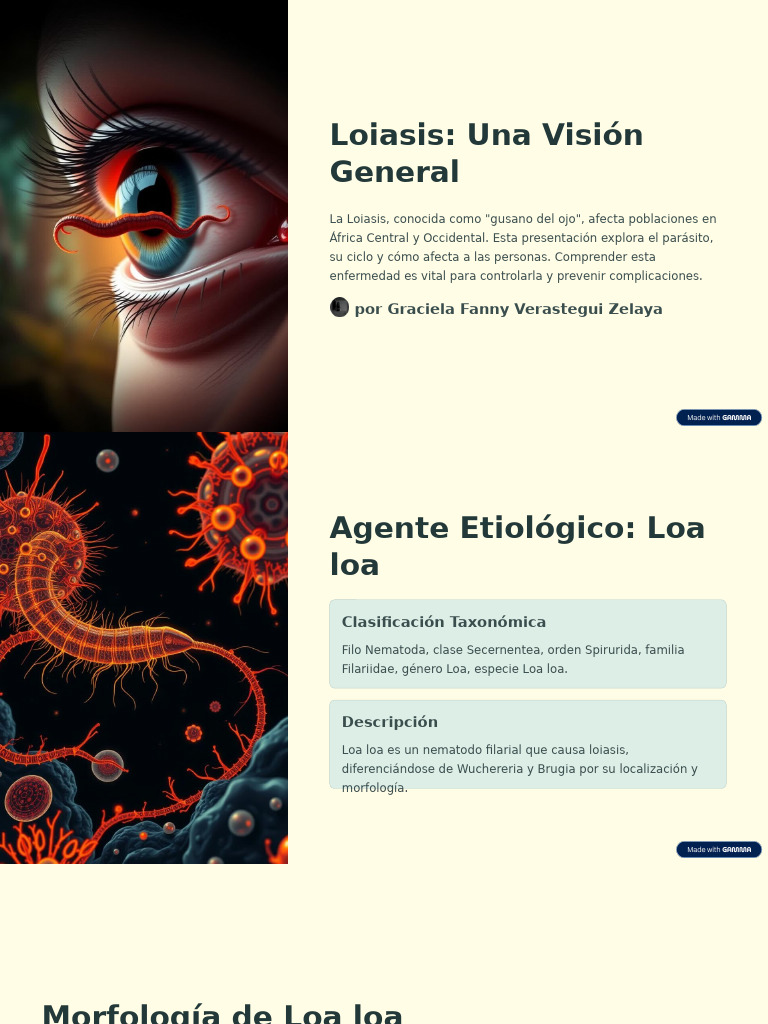 Loiasis Una Vision General | PDF | Especialidades Medicas ...
