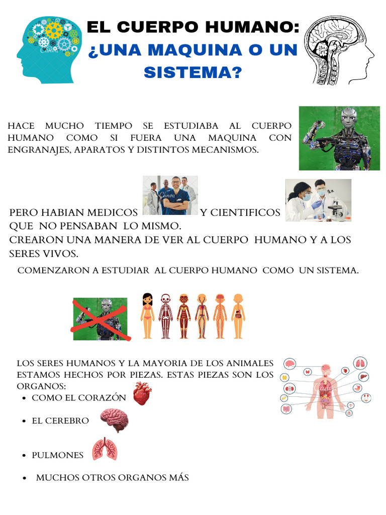 El Cuerpo Humano - Abi | PDF | Alimentos | Nutrición