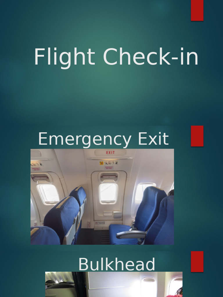 Flight Check in | PDF