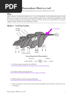 Cellular Communication and Signaling Key | PDF | Cell Signaling ...